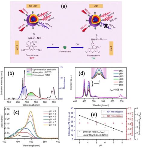 A Schematic Description Of The Developed Nanoprobe And Its Working Download Scientific