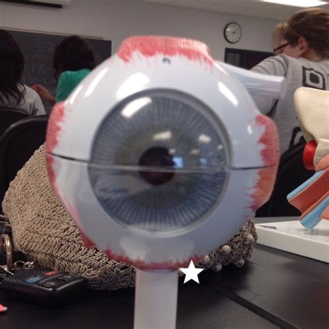 Lab 9 Flashcards Quizlet