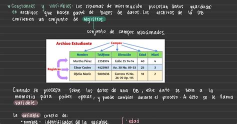 Tipos De Datos Constantes Y Variables