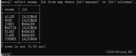 Mysql条件查询mysql 或者 Csdn博客