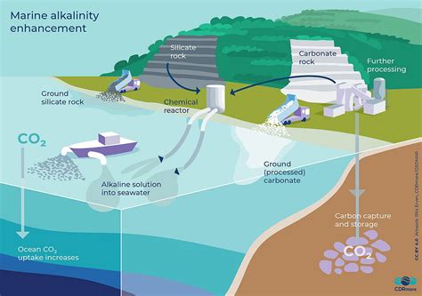 Ocean Alkalinity Enhancement