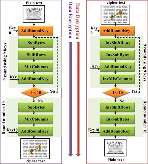 Aes Encryption And Decryption Scheme Download Scientific Diagram