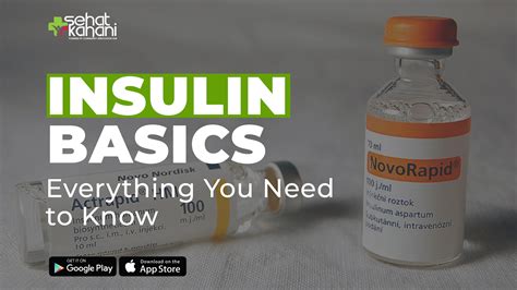 Sehat Kahani Insulin Basics Everything You Need To Know