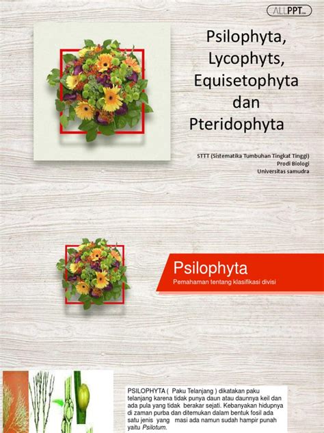 Klasifikasi Divisi Psilophyta Lycophyts Equisetophyta Dan Pteridophyta Pdf