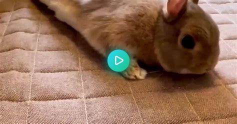 Crawling Album On Imgur