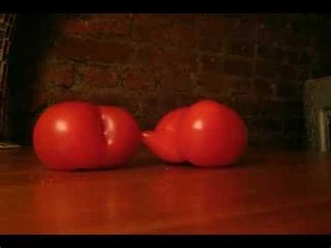 Tomato Sex YouTube