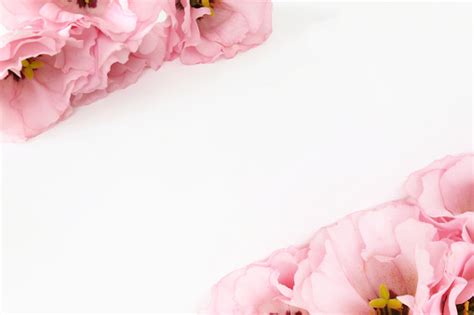 Buket Eustoma Dalam Latar Belakang Putih Foto Stok Unduh Gambar