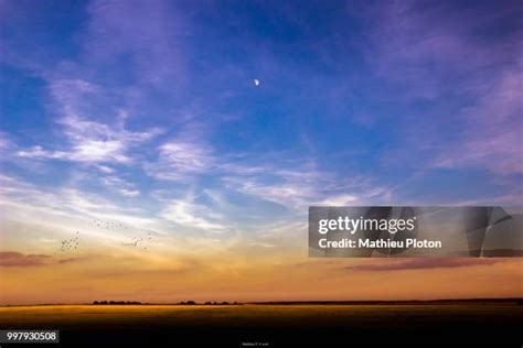 Ploton Photos And Premium High Res Pictures Getty Images
