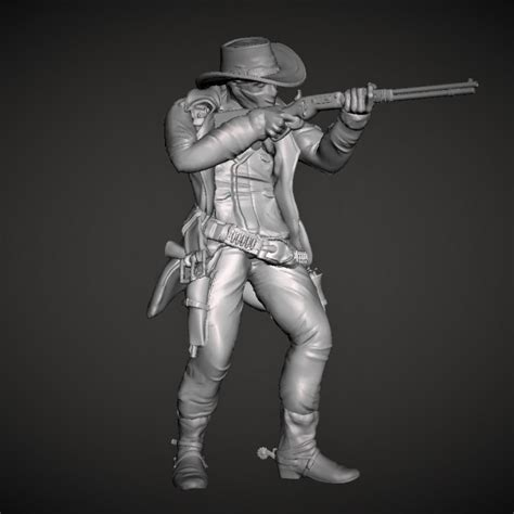 Wild West Bandit