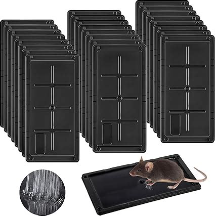 Amazon.com : Qualirey 24 Pack Glue Traps for Rats and Snakes, Larger and Heavy Duty Baited ...