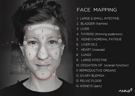 Face Map