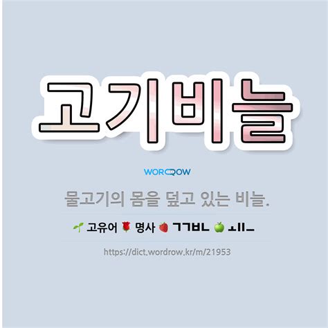🌟고기비늘 물고기의 몸을 덮고 있는 비늘 표준국어대사전