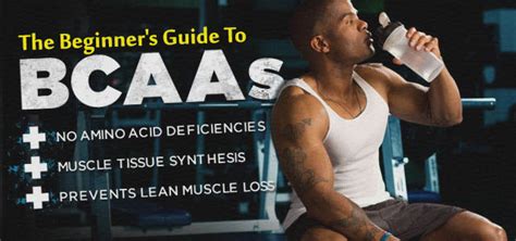 The Beginner Guide To Bcaa Supplement Workout Trends
