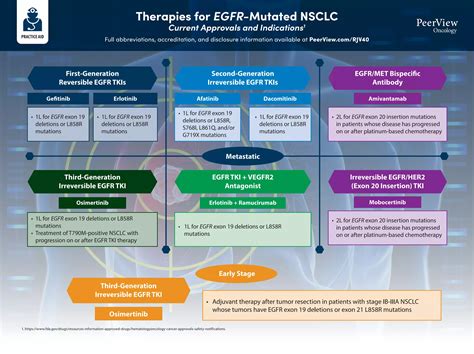 Refining Biomarker Testing And Targeted Treatment Of Nsclc With Common And Uncommon Egfr