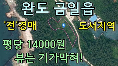 부동산경매 전남 완도군 금일읍 사동리 전경매 바다보이는 저렴한 토지 Youtube