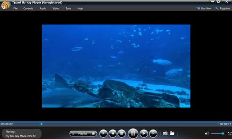 What To Do When Windows Media Player Cannot Play The File
