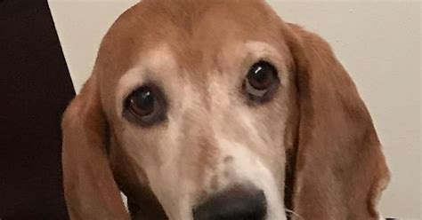 Dozer Album On Imgur