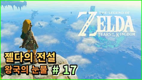 젤다왕눈 17일차 거대말잡기 빙설그리오크 클리어 황금말잡기 대요정샘 시저 [젤다의 전설 왕국의 눈물