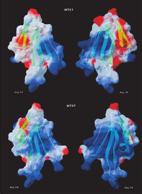 Electrostatic Surface Potential Representations Of SMT1 Top And SMT7