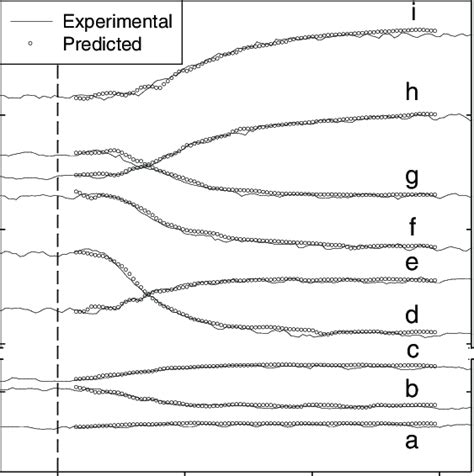 Comparison Of Transient Model Predictions And Experimental Permeate