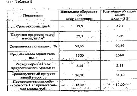 Инновации бизнесу Технология выращивания цыплят бройлеров