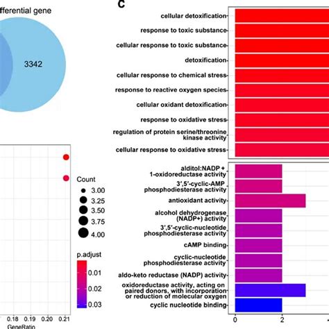 Result Of Functional Enrichment Analysis A Venn Diagram Of Bf Target