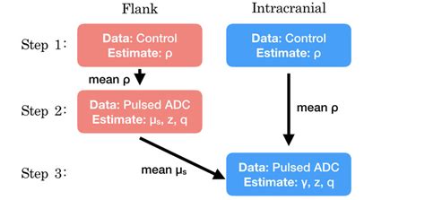 Summary Of The Series Of Steps Used To Estimate Model Parameter Values