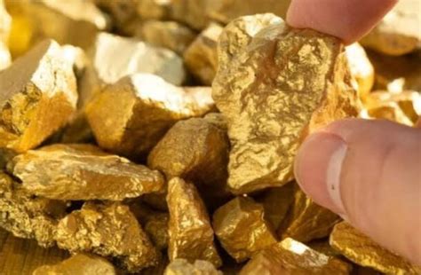 El Brillo De La Explotación De Oro Mining México