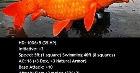 Roll Initiative Imgur