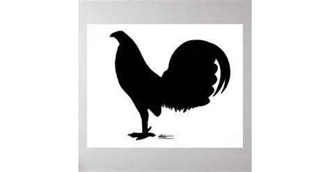 Póster Silueta Del Gallo Del Gallo De Pelea Zazzlees