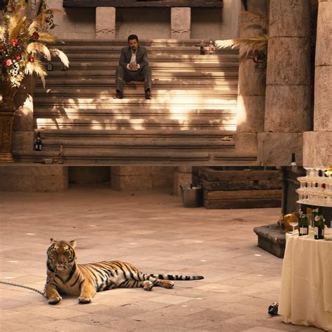 The Stunning Cinematography Of Narcos Mexico Season 2 😍 Part 1 Rnarcos