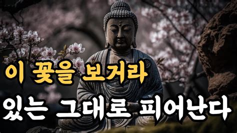 이 꽃을 보아라 이 꽃은 피어나기 위해 애쓰지 않는다 그저 있는 그대로 피어나고 결국 자연스럽게 시든다 인간도 마찬가지다