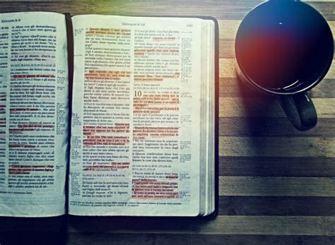 Las 10 Frases Más Extrañas Que Encontrarás En La Biblia