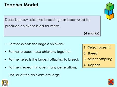 Aqa Gcse Selective Breeding Teaching Resources