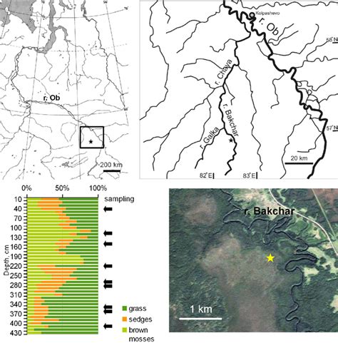 Geographic Location Of The Study Area And Macrofossils Composition Of