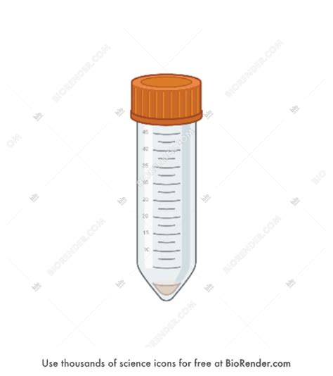 centrifuge tube pellet