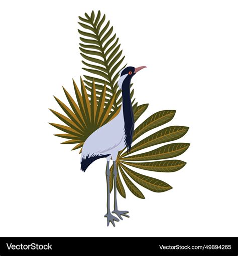 Drawing Bird Demoiselle Crane Royalty Free Vector Image