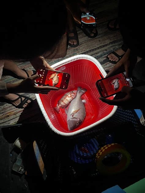 [여자 혼자 이집트 여행]밤 낚시 생선구이 선셋 승마 다합 해산물 가성비 맛집 스노쿨링 장비 대여 네이버 블로그