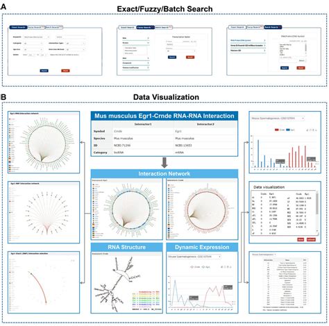 New Search Function And Data Visualization Of The Rna Interactome A