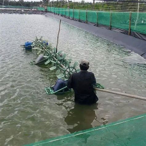 小小漂白粉水产大作用这些技巧值的我们学习