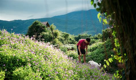 무료 이미지 자연스러운 하늘 식물 공동체 People in nature 자연 경관 초목 생체 농업