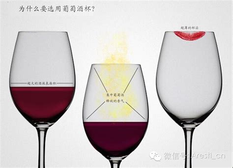 葡萄酒杯型让你更有型！ 阿雷斯帝 Aresti Wines