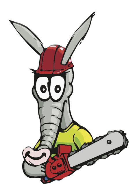 Aardvark Tree Service Top Rated Volusia And Flagler Tree Services