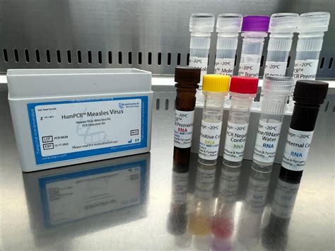 Measles Virus Detection Kits Pcr Kit