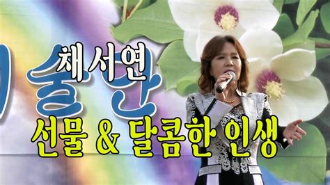 선물 And 달콤한 인생 채서연 제3회 시민을 위한 행복낭만 예술공연 평화연합예술단 의림지수변무대 20221127