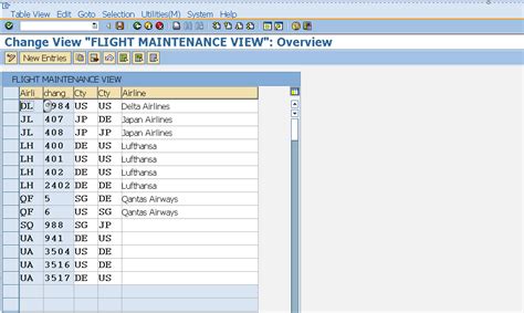 Calling Maintenance View Programatically SAPCODES