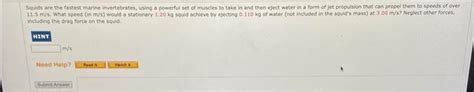 Solved Squids Are The Fastest Marine Invertebrates Using A