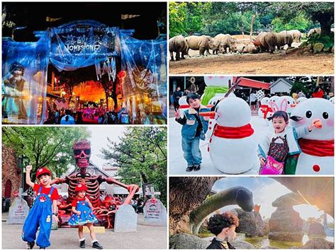 ﹝六福村主題遊樂園﹞台版環球影城，萬聖節來這玩！｜暖男哥哥，傲嬌妹妹 媽咪拜mamibuy