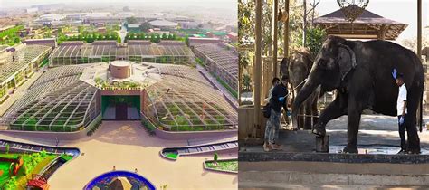 Vantara Jamnagar Indias Grand Wildlife Sanctuary Set To Open Soon