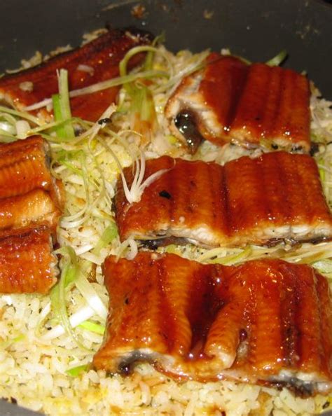 Rice Eel